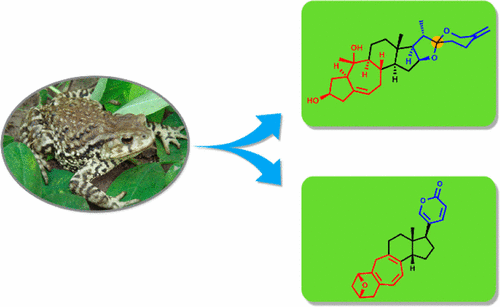 Bufospirostenin A和Bufogargarizin C，来自蟾蜍的重排骨架类固醇 bufo bufo gargarizans ...