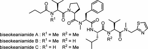 Biseokeaniamides A, B, and C, Sterol O-Acyltransferase Inhibitors from ...