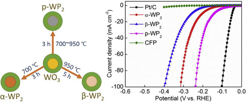 Phase-controlled synthesis of polymorphic tungsten diphosphide with ...