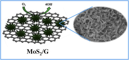 Synthesis of flower-like molybdenum sulfide/graphene hybrid as an ...