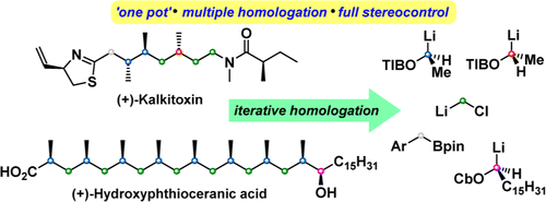 Toward Ideality: The Synthesis of (+)-Kalkitoxin and ...