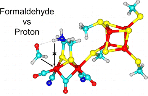 How Formaldehyde Inhibits Hydrogen Evolution by [FeFe]-Hydrogenases ...