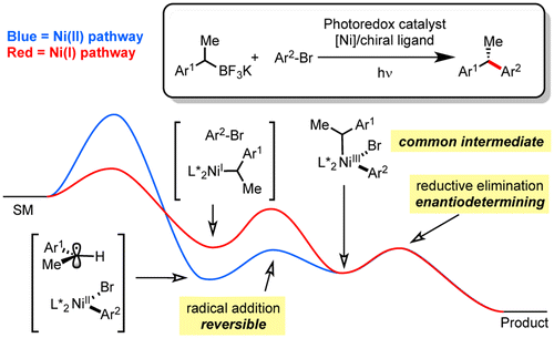 Nickel-Catalyzed Cross-Coupling of Photoredox-Generated Radicals ...