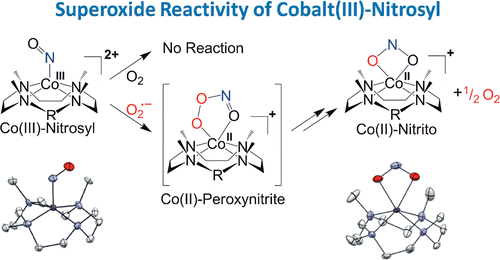Co(III)-亚硝基配合物与超氧化物的反应及其机理研究,Journal of the American Chemical Society ...