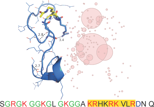 The Acetylation Landscape of the H4 Histone Tail: Disentangling the ...