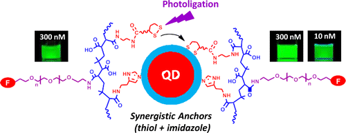 Photoligation of an Amphiphilic Polymer with Mixed Coordination Provides Compact and Reactive ...