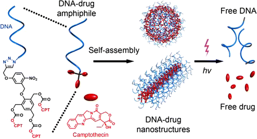 Light-Triggered, Self-Immolative Nucleic Acid-Drug Nanostructures ...