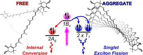The Nature of Singlet Exciton Fission in Carotenoid Aggregates,Journal ...