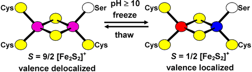 Spectroscopic and Redox Studies of Valence-Delocalized [Fe2S2]+Centers ...