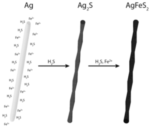 Ag 纳米线向半导体 AgFeS2 纳米线的转变,Journal of the American Chemical Society - X-MOL