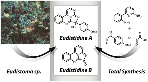 Structural Elucidation and Synthesis of Eudistidine A: An Unusual ...