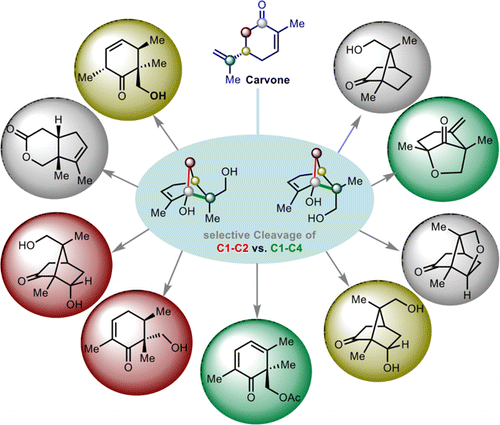 Selective C–C and C–H Bond Activation/Cleavage of Pinene Derivatives ...