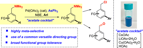 Simple Amine-Directed Meta-Selective C–H Arylation via Pd/Norbornene ...
