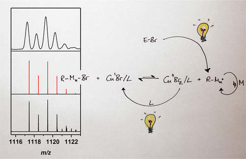 Enlightening the Mechanism of Copper Mediated PhotoRDRP via High ...