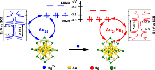 Au25 的单汞掺杂和采用差分脉冲伏安法的 HOMO/LUMO 能量评估,Journal of the American Chemical Society - X-MOL