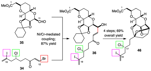 Selective Activation/Coupling of Polyhalogenated Nucleophiles in Ni/Cr ...