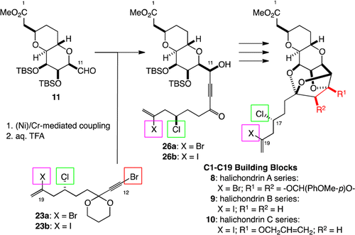 Unified Synthesis of C1–C19 Building Blocks of Halichondrins via ...