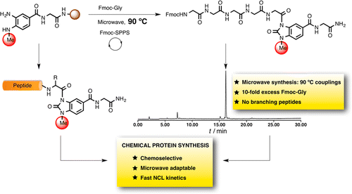 Chemical Protein Synthesis Using a Second-GenerationN-Acylurea Linker ...
