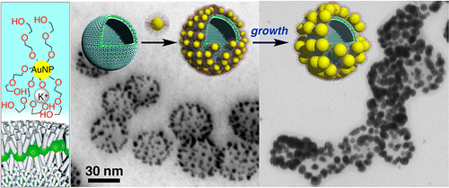Cooperative Self-Assembly of Gold Nanoparticles on the Hydrophobic ...