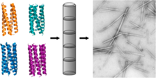 自组装肽基纳米管的模块化设计,Journal of the American Chemical Society - X-MOL