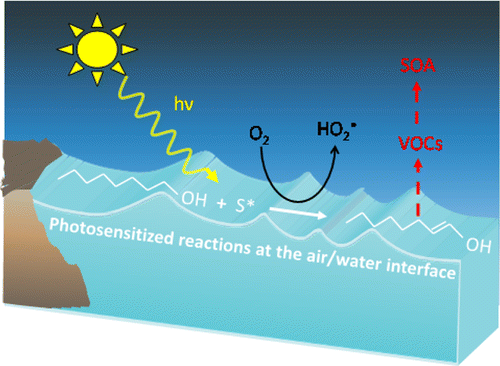 Photosensitized Production of Atmospherically Reactive Organic ...