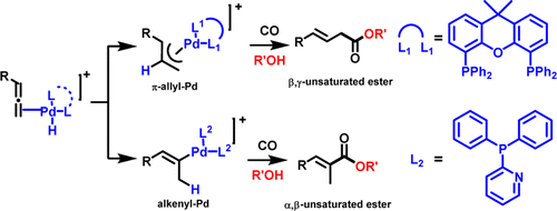 Ligand Controlled Palladium Catalyzed Alkoxycarbonylation Of Allenes