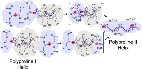 Configurationally-Coupled Protonation of Polyproline-7,Journal of the ...