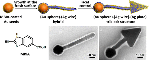 Achieving Site-Specificity in Multistep Colloidal Synthesis,Journal of ...