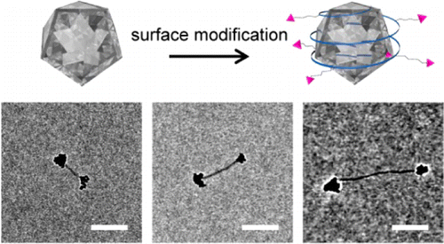 DNA-Based Self-Assembly of Fluorescent Nanodiamonds,Journal of the ...