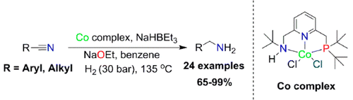 Selective Hydrogenation of Nitriles to Primary Amines Catalyzed by a ...
