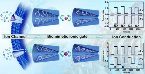 Engineered Ionic Gates for Ion Conduction Based on Sodium and Potassium ...