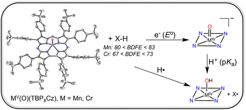 Mn(V)(O) versus Cr(V)(O) Porphyrinoid Complexes: Structural ...