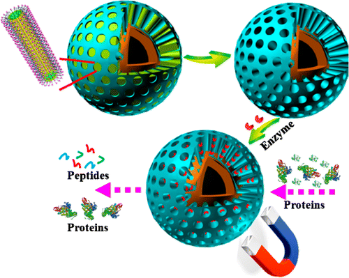 An Interface Coassembly in Biliquid Phase: Toward Core–Shell Magnetic ...