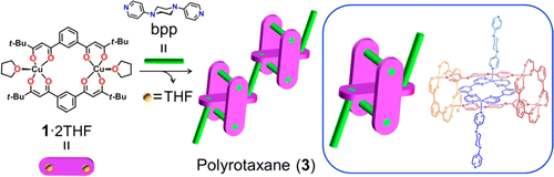 Formation of a Dicopper Platform Based Polyrotaxane Whose “String” and ...