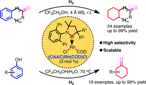 Highly Selective Hydrogenation of Aromatic Ketones and Phenols Enabled ...