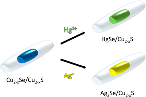 Selective Cation Exchange in the Core Region of Cu2–xSe/Cu2–xS Core ...