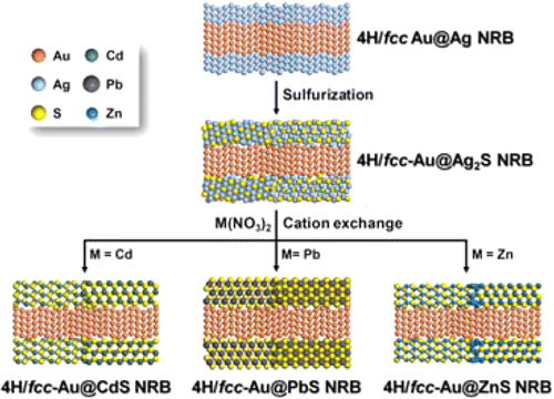 Synthesis of 4H/fcc-Au@Metal Sulfide Core–Shell Nanoribbons,Journal of ...