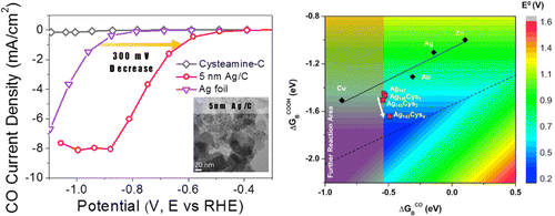 Achieving Selective and Efficient Electrocatalytic Activity for ...