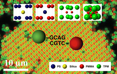 Synthetic Strategies Toward DNA-Coated Colloids that Crystallize ...