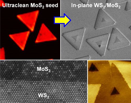Seed Crystal Homogeneity Controls Lateral and Vertical Heteroepitaxy of ...