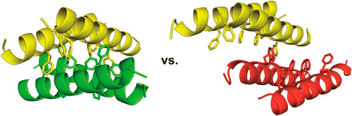 Quasiracemate Crystal Structures of Magainin 2 Derivatives Support the ...