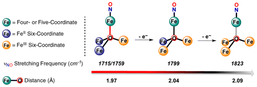 Nitric Oxide Activation by Distal Redox Modulation in Tetranuclear Iron ...