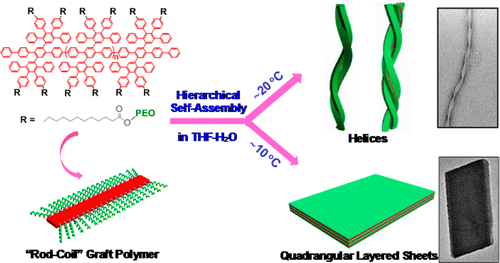 Temperature-Dependent Multidimensional Self-Assembly of Polyphenylene ...