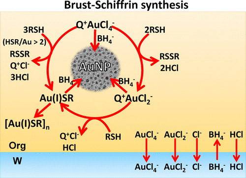 Electrochemical Insight into the Brust–Schiffrin Synthesis of Au ...