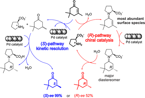 Enantioselection on Heterogeneous Noble Metal Catalyst: Proline-Induced ...