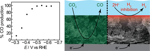 Mesostructure-Induced Selectivity in CO2Reduction Catalysis,Journal of ...
