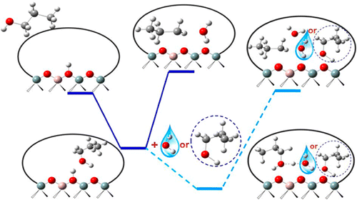 Dehydration Pathways of 1-Propanol on HZSM-5 in the Presence and ...