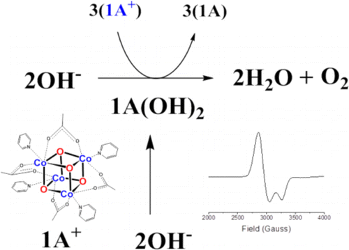 Water Oxidation by the [Co4O4(OAc)4(py)4]+Cubium is Initiated by OH ...
