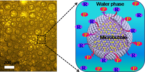 pH-Responsive Gas–Water–Solid Interface for Multiphase Catalysis ...