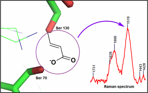 “Mind the Gap”: Raman Evidence for Rapid Inactivation of CTX-M-9 β ...